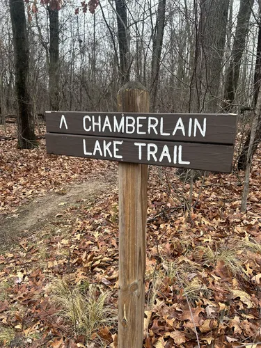 Best Hikes and Trails in Chamberlain Lake Nature Preserve | AllTrails
