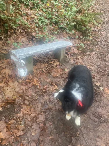 Best Hikes and Trails in Frink Park | AllTrails