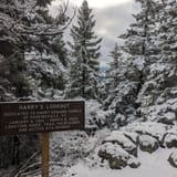 Mount Ascutney via Weathersfield Trail, Vermont - 1,318 Reviews, Map ...