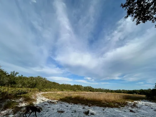 Best Hikes and Trails in Allen David Broussard Catfish Creek Preserve ...