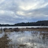Heads Pond, New Hampshire - 872 Reviews, Map | AllTrails