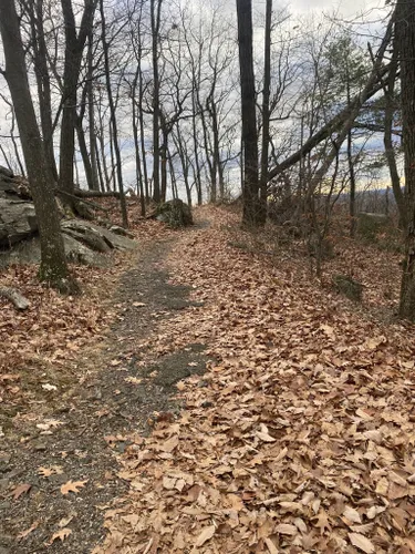 Best Hikes and Trails in Gettysburg National Military Park | AllTrails
