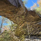 Rough Trail and Gray's Arch, Kentucky - 784 Reviews, Map | AllTrails