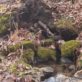 Stepstone Falls via Ben Utter Trail, Rhode Island - 1,566 Reviews, Map ...