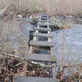 Stepstone Falls via Ben Utter Trail, Rhode Island - 1,566 Reviews, Map ...