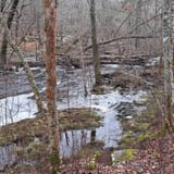 Stepstone Falls via Ben Utter Trail, Rhode Island - 1,566 Reviews, Map ...
