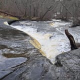Stepstone Falls via Ben Utter Trail, Rhode Island - 1,566 Reviews, Map ...