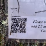 Stepstone Falls via Ben Utter Trail, Rhode Island - 1,566 Reviews, Map ...