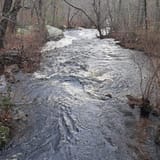 Stepstone Falls via Ben Utter Trail, Rhode Island - 1,566 Reviews, Map ...
