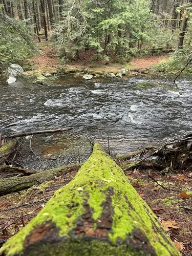 Best Hikes and Trails in Swift River Reservation | AllTrails