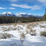 Meadow Loop and Ridge Trail, Colorado - 3,234 Reviews, Map | AllTrails