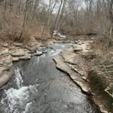 Tanyard Perimeter Loop, Arkansas - 2,493 Reviews, Map | AllTrails