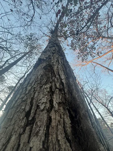 Best Hikes and Trails in Chewacla State Park | AllTrails