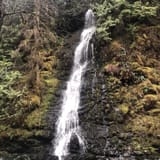 Boulder River Trail, Washington - 1,679 Reviews, Map | AllTrails
