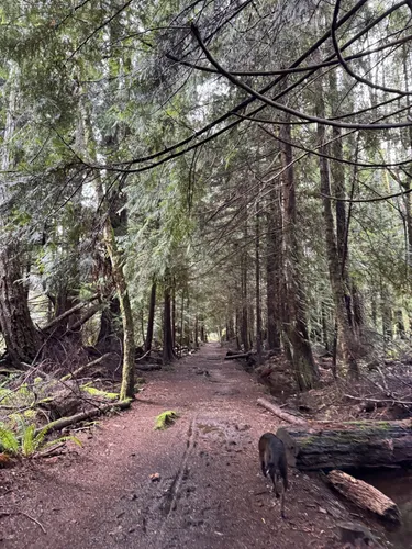 Best Hikes and Trails in Deep Bay/Bowser | AllTrails