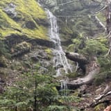 Mount Rose Trail, Washington - 1,384 Reviews, Map | AllTrails