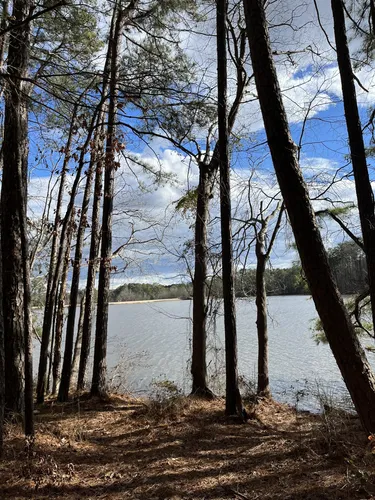 Best Hikes and Trails in Lake Johnson Nature Park | AllTrails