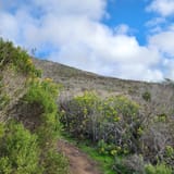 Crespi Trail, California - 224 Reviews, Map | AllTrails