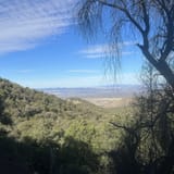 Madera Canyon Nature Trail, Arizona - 1,070 Reviews, Map | AllTrails