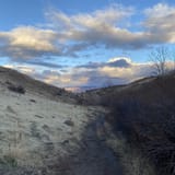 Hunter Creek Trail, Nevada - 4,265 Reviews, Map | AllTrails