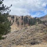 Hunter Creek Trail, Nevada - 4,265 Reviews, Map | AllTrails