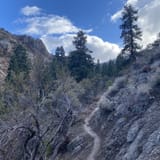 Hunter Creek Trail, Nevada - 4,265 Reviews, Map | AllTrails