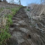 Powder Canyon Loop Trail, California - 2,368 Reviews, Map | AllTrails