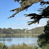 Lake Merced Loop, California - 1,604 Reviews, Map | AllTrails