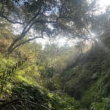 Eaton Canyon Falls and Henninger Flats via Altadena Crest Trail ...