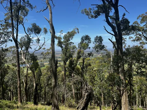 Best Hikes and Trails in Mount Buninyong Scenic Reserve | AllTrails