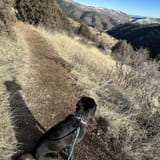 Eagle's View Trail Loop, Colorado - 2,924 Reviews, Map | AllTrails