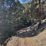 Eagle's View Trail Loop, Colorado - 2,924 Reviews, Map | AllTrails