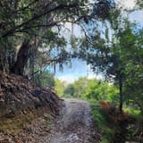 Powder Canyon Loop Trail, California - 2,368 Reviews, Map | AllTrails