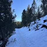 Eagle's View Trail Loop, Colorado - 2,924 Reviews, Map | AllTrails