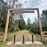Nocatee Preserve Trail, Florida - 371 Reviews, Map | AllTrails