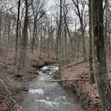 Wadsworth Falls Loop, Connecticut - 3,869 Reviews, Map | AllTrails