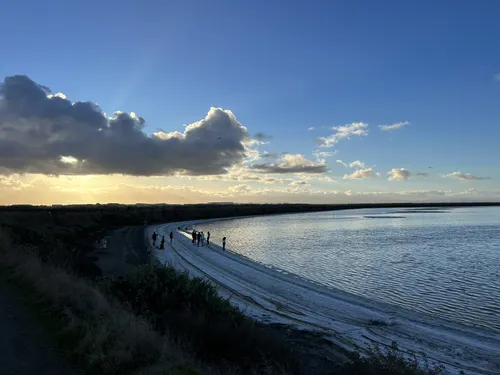 Best 10 Hiking Trails in Alviso Marina County Park | AllTrails