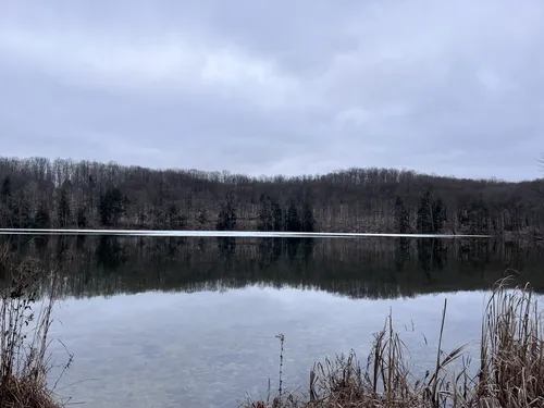 Best Hikes and Trails in Louis Groen Nature Preserve | AllTrails