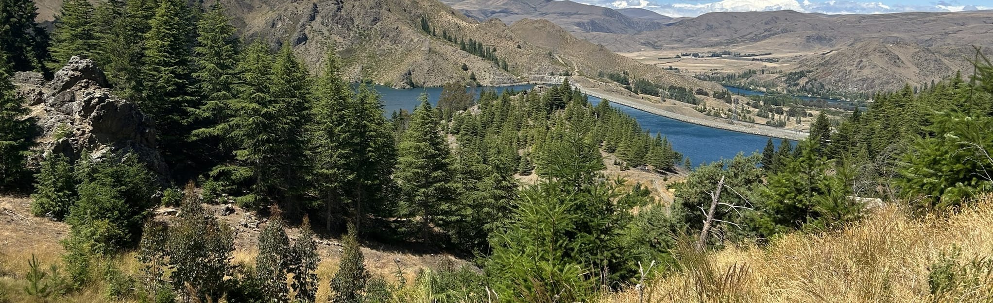 Benmore Peninsula Loop: 137 foto's - Canterbury, Nieuw-Zeeland ...