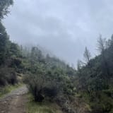 Stevens Trail, California - 4,408 Reviews, Map | AllTrails