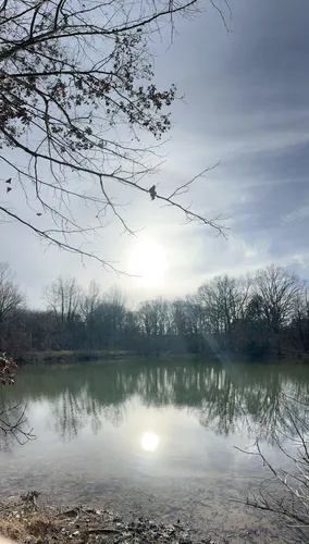 Best Hikes and Trails in Scrivner Road Conservation Area | AllTrails