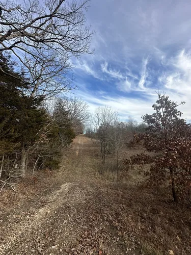Best Hikes and Trails in Scrivner Road Conservation Area | AllTrails