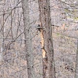 Fintry Provincial Park Loop, British Columbia, Canada - 151 Reviews ...