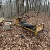 Bacon Ridge Trail: Phase 3, Maryland - 2,264 Reviews, Map | AllTrails