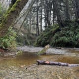 Fern Canyon Loop, California - 3,170 Reviews, Map | AllTrails