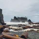 Ruby Beach, Washington - 1,424 Reviews, Map | AllTrails
