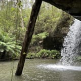 Lower Kalimna Falls, Victoria, Australia - 81 Reviews, Map | AllTrails