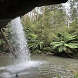 Lower Kalimna Falls, Victoria, Australia - 81 Reviews, Map | AllTrails