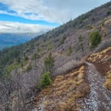 Black Butte Trail, Oregon - 1,824 Reviews, Map | AllTrails
