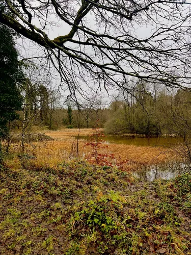 Best 10 Hiking Trails in Donadea Forest Park | AllTrails